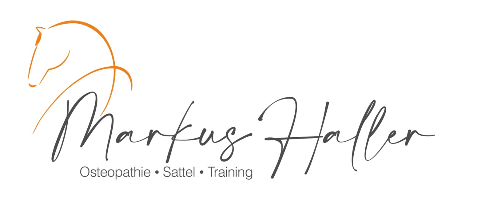 Markus Haller - Osteopathie - Sattel - Training - Home